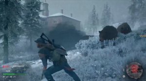 3 Bears (and a Wolf) - DAYS GONE