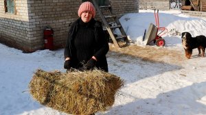 МУЖ ОЧЕНЬ УСТАЛ...😥 ГРЕБУ НАВОЗ ОДНА!