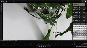 How to Smart Search and Smart Playback
