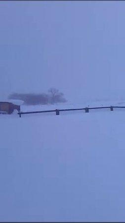 снегопад  03.12.2015