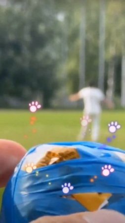 My adidas shoes/how to make a cricket ball with your own hands-take some grass leaves and duct tape!