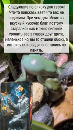 Кто о вас досплетничался и передрался? 💯 #shorts#шортс#таро#гадание#tarot#расклад#онлайн