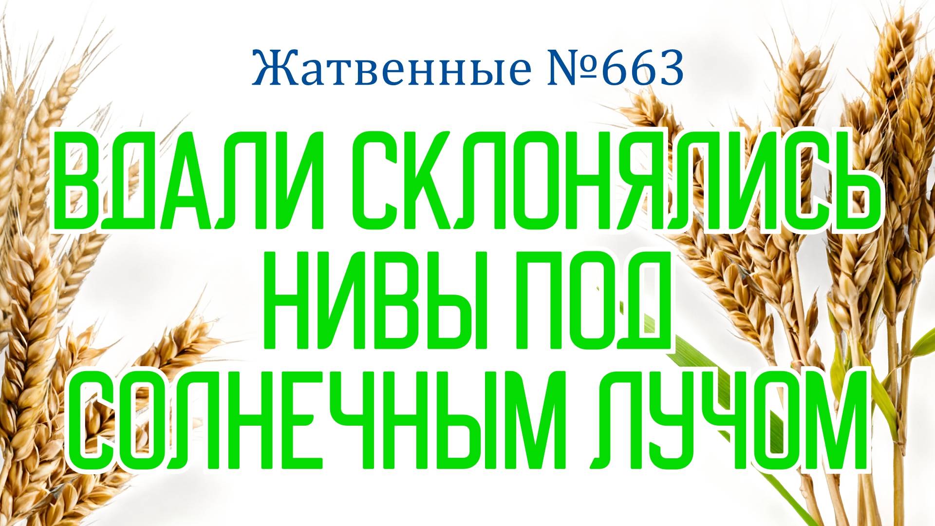 ПВ_4k №663 Вдали склонялись нивы под солнечным лучом