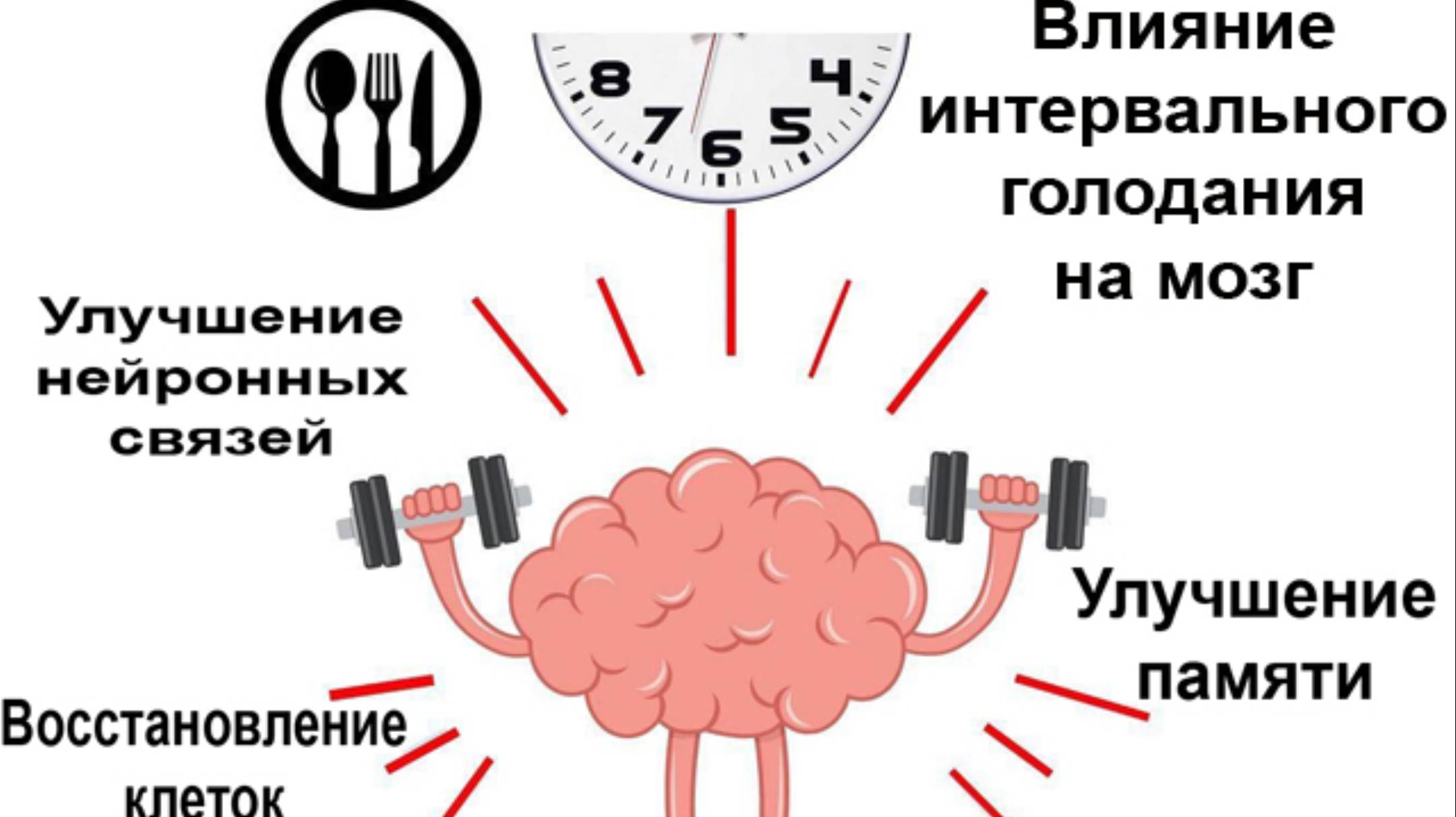 Исследования интервального голодания