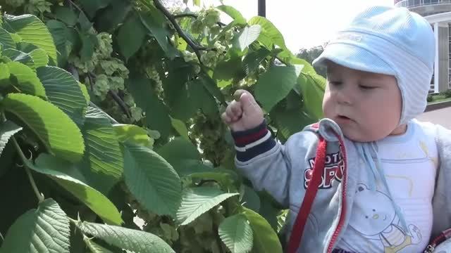 Первая весна.