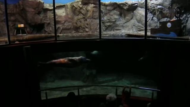 питер 2015_осень_DSCF2309