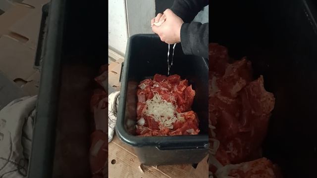 Будущий шашлык