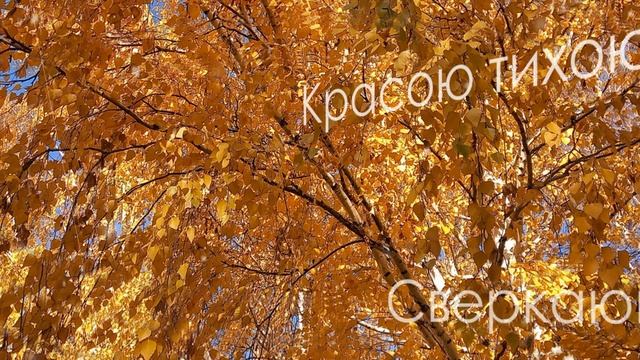 Визит Счастья