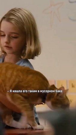 -Он умный, очень умный кот, но никто не понимает его. -Вообще никто.