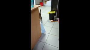 Прощание с малышкой, Аришей!
