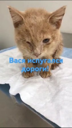 мы приехали в БиоКонтроль