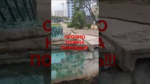Срочно нужна ПОМОЩЬ Рыжик! помочь можно переводом с пометкой "Рыжик".