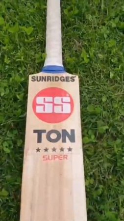 Take a closer look at the cricket bat!