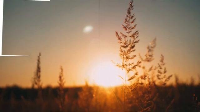 Закаты Слайд-шоу Калейдоскоп  автор Нина Ницина  Бонусный урок  Canva Базовый курс (8 поток)