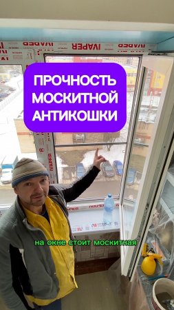 Проверка НАДËЖНОСТИ 😻 москитной сетки АНТИКОШКА. Установка АНТИКОШКИ от AnSer  ☝ #антикошка_AnSer