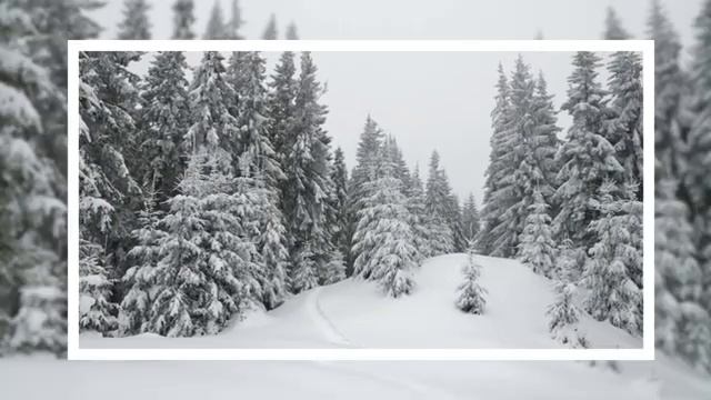Зимние мотивы  Слайд-шоу  автор Ольга Белошенкова  Бонусный урок  Canva Базовый курс (8 поток)