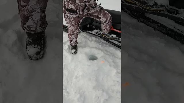 Трофейный Голец 5+ кг зимой. Это вам не Щука. Горное оз. Майниц.