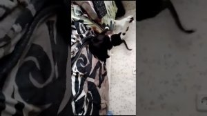 А мы зайдём с другого угла!