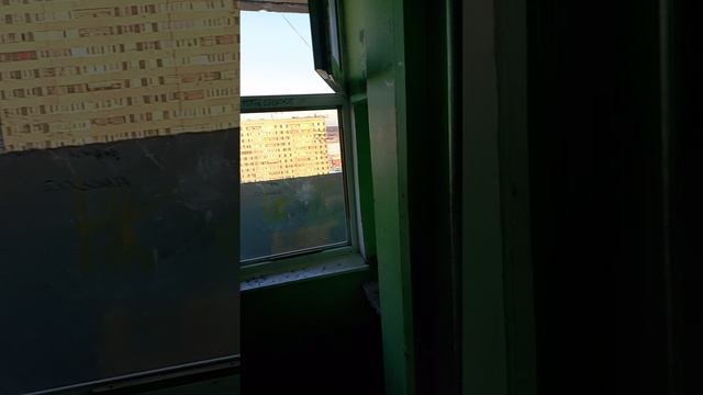 Мы с папой едем на 16 этаж