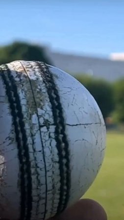 Who has seen a cricket ball?