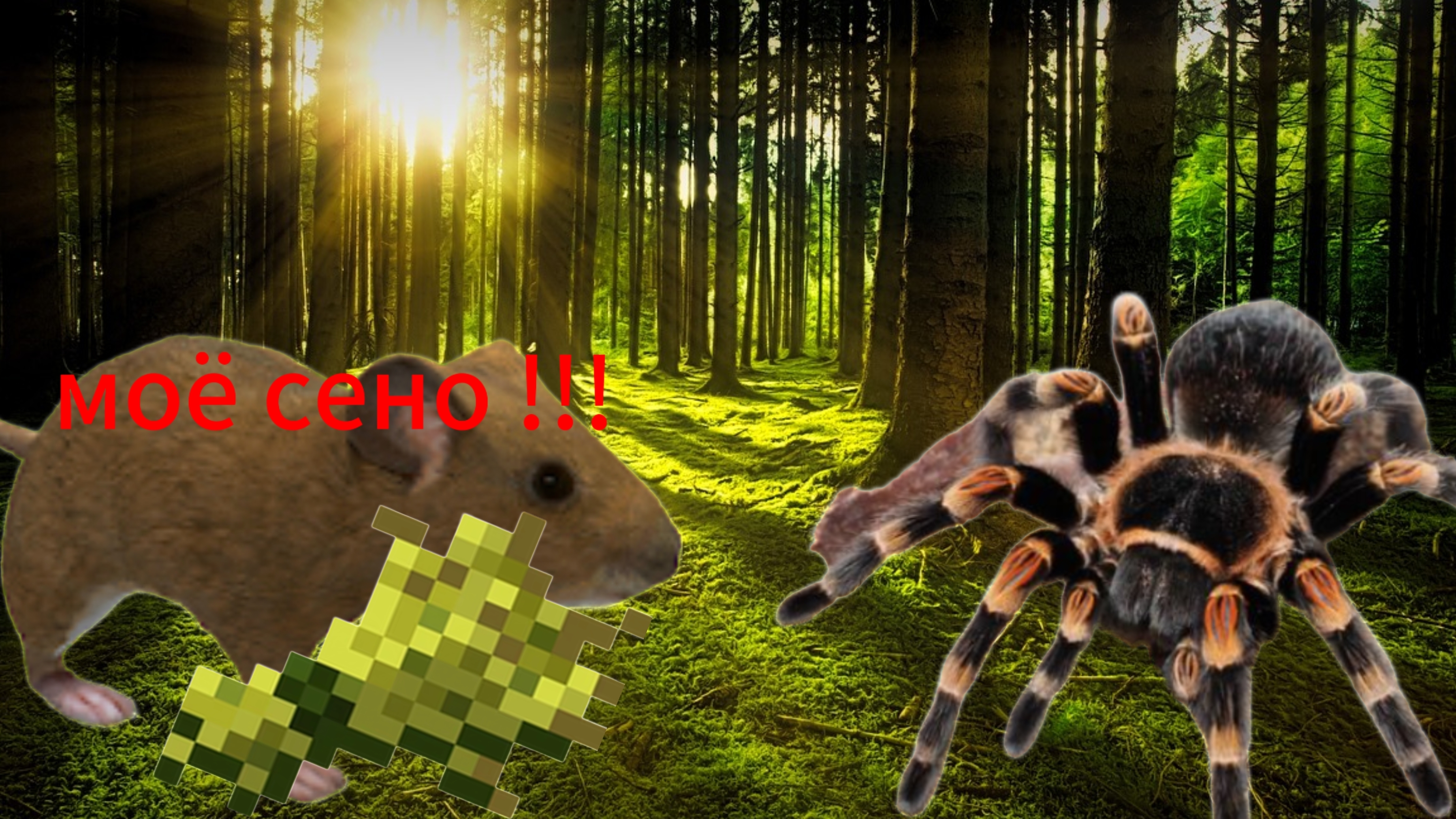 Играю в симулятор мыши очень страшно Mouse simulator