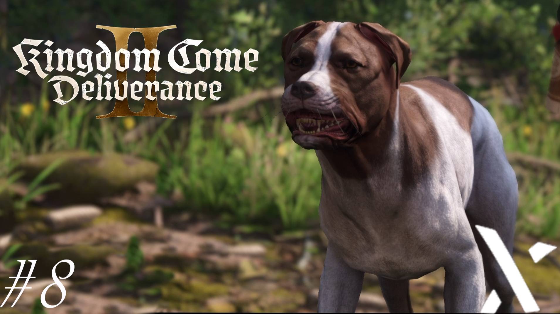 Kingdom Come: Deliverance II #8 СПАС БАРБОСА!