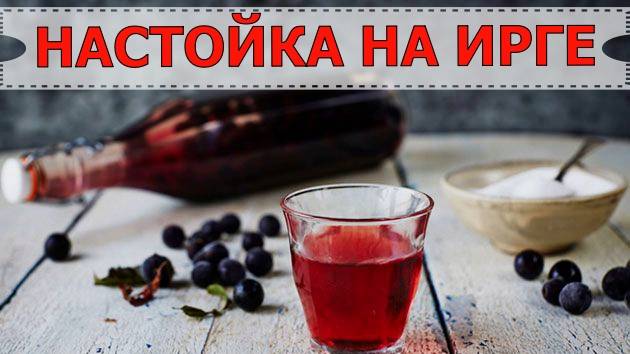 НАСТОЙКА НА ИРГЕ