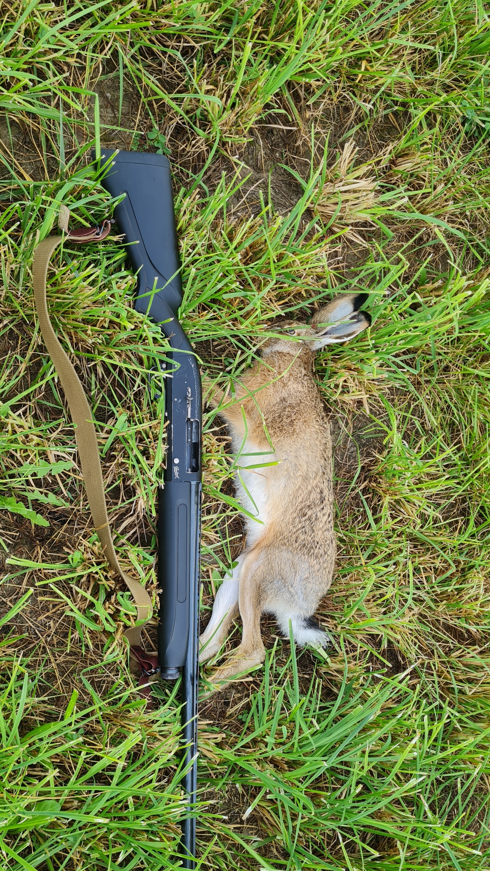 открытие охоты 15.09.2024