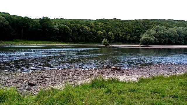 Инструментальная музыка Сергея Чекалина —  Речка Днестр