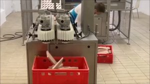 Распиловка замороженных евроблоков рыбы на автоматической линии
