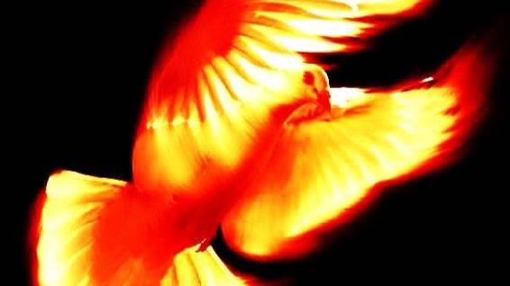 гонки. жажда или месть