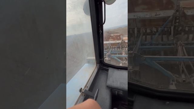 Сеем озимую пшеницу на мтз 892 сорт Еланчик #mtz #mtz892 #farming #shorts
