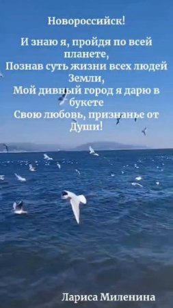 Мой любимый Новороссийск