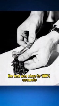 Frog that was used for human pregnancy test