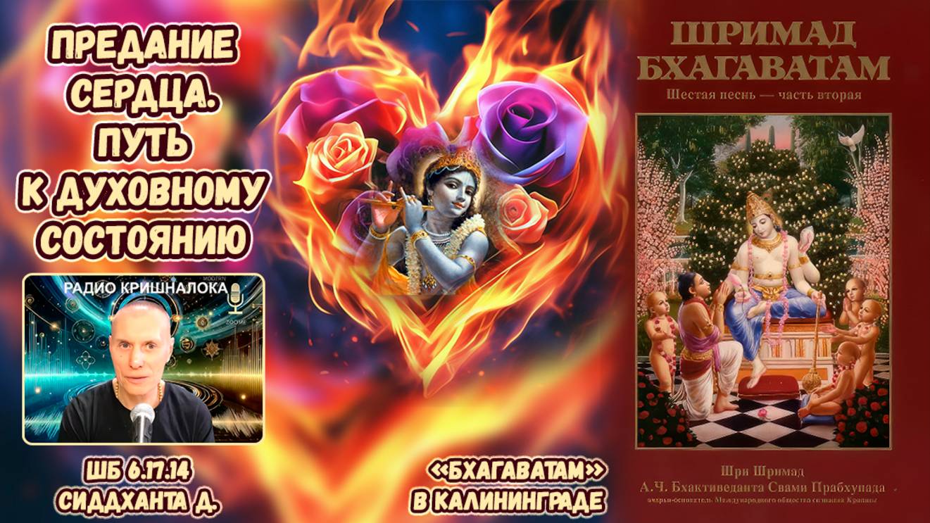 Предание сердца. Путь к духовному состоянию. Сиддханта д. ШБ 6.17.14