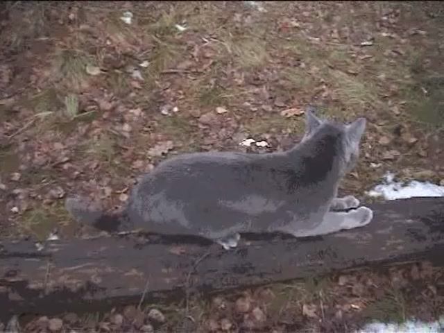 Жили были мы.