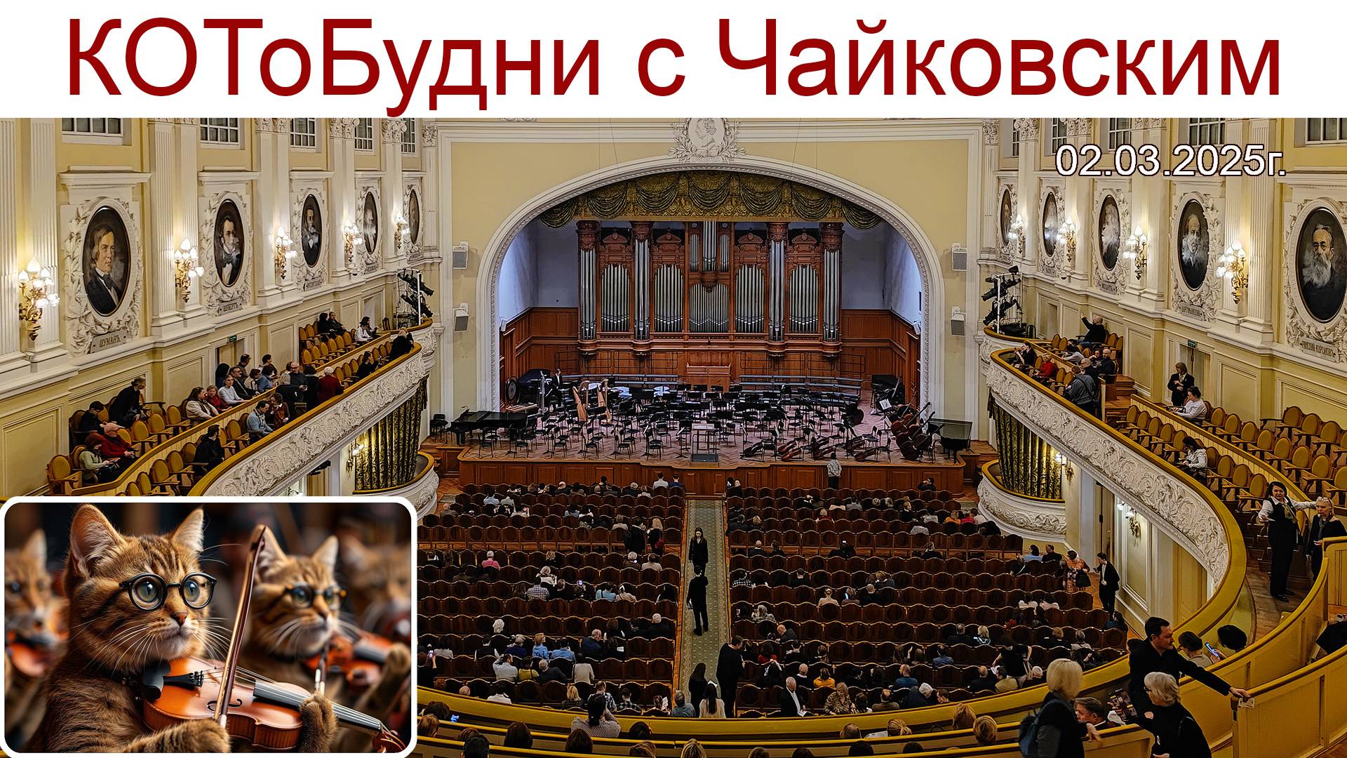 Попросили Прощение, покормили Белку, Лису и отправились к Чайковскому или КОТоБудни от 02.03.2025г.