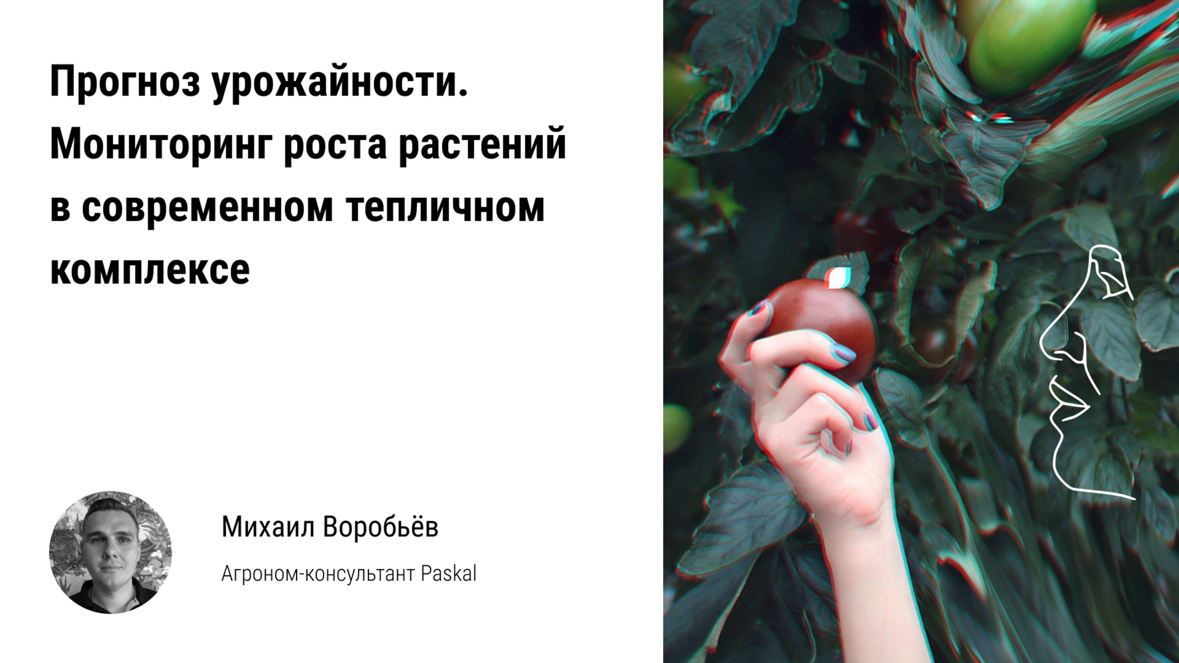 🏃 Прогноз урожайности. Система мониторинга, анализа роста растений тепличного комплекса в России