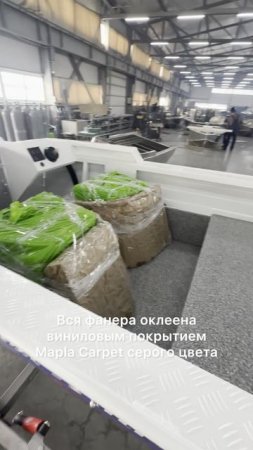 Вятбот  390 DCM в бело-красном цвете.