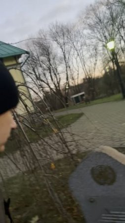 Дерево мира которое посадил Лукашенко в честь 70-летия ООН в Лошицком парке #минск #лошиц