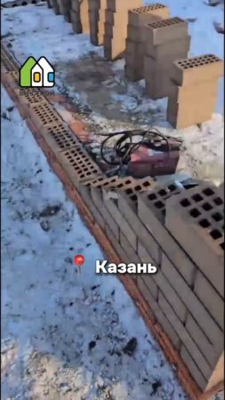 Никаких зимних спячек!😴