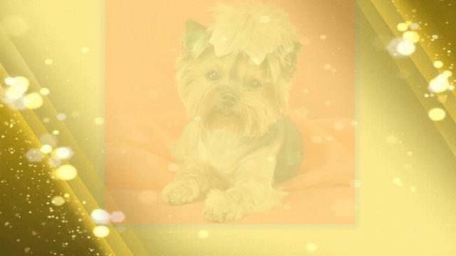 Хорошего настроения весной!.mp4