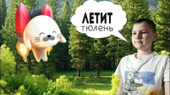 моего тюленя украли!