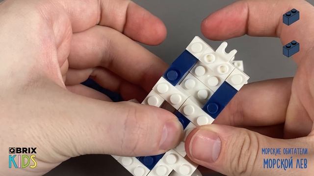 Собираем морского льва из конструктора QBRIX KIDS - детские конструкторы с видеоинструкцией
