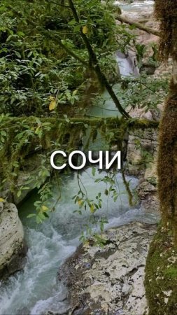 ПОЕХАЛИ В СОЧИ! На ретрит