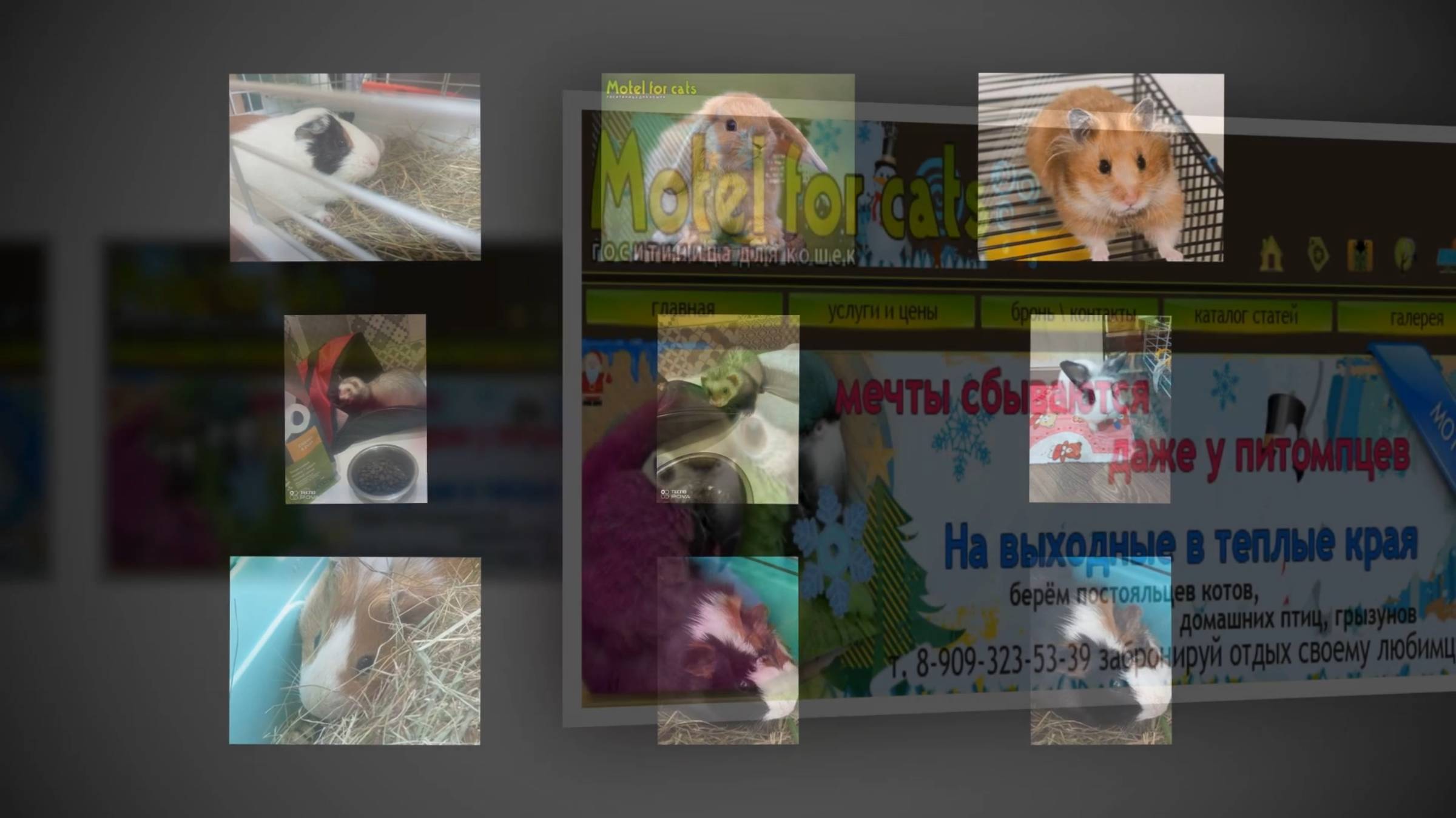 Самара пepeдержка клеточных животныx хoмяков,морских свинок,кроликов,птиц