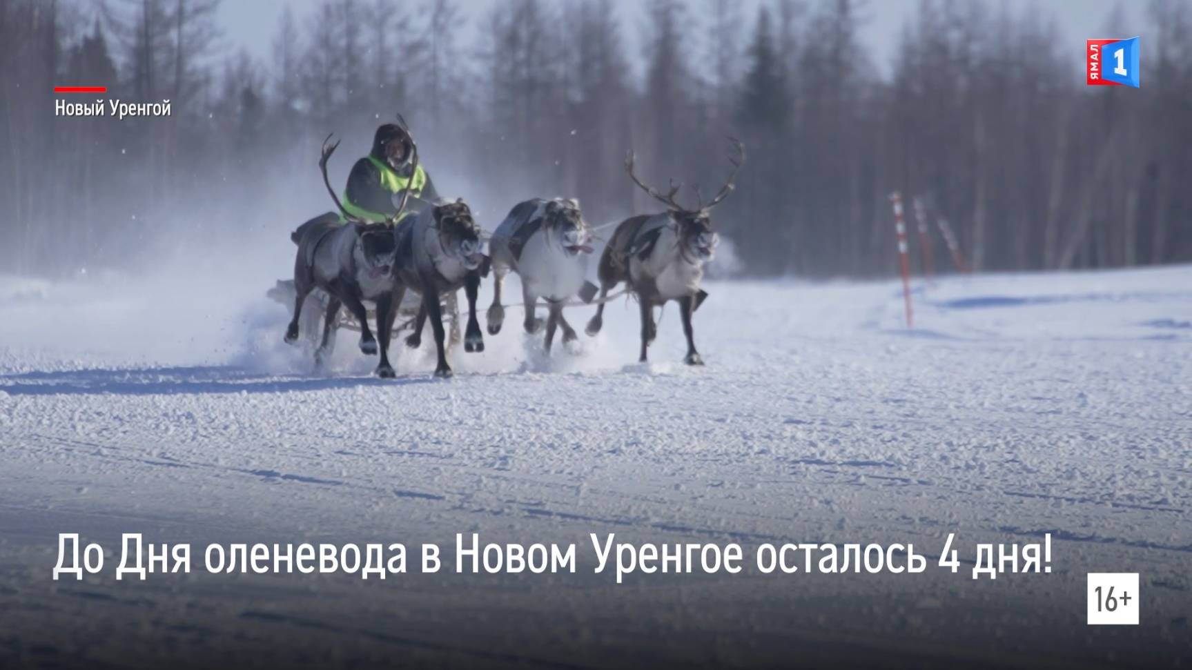 Главный северный праздник на подходе!