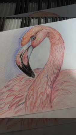 Мои первые рисунки