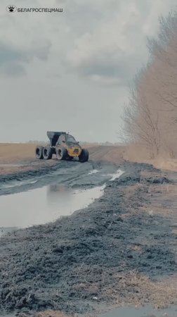 ПНЕВМОХОД БАРС - и один в поле воин!