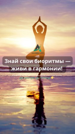 Переходи в наши Подписки и скачивай приложение у любого из наших партнеров